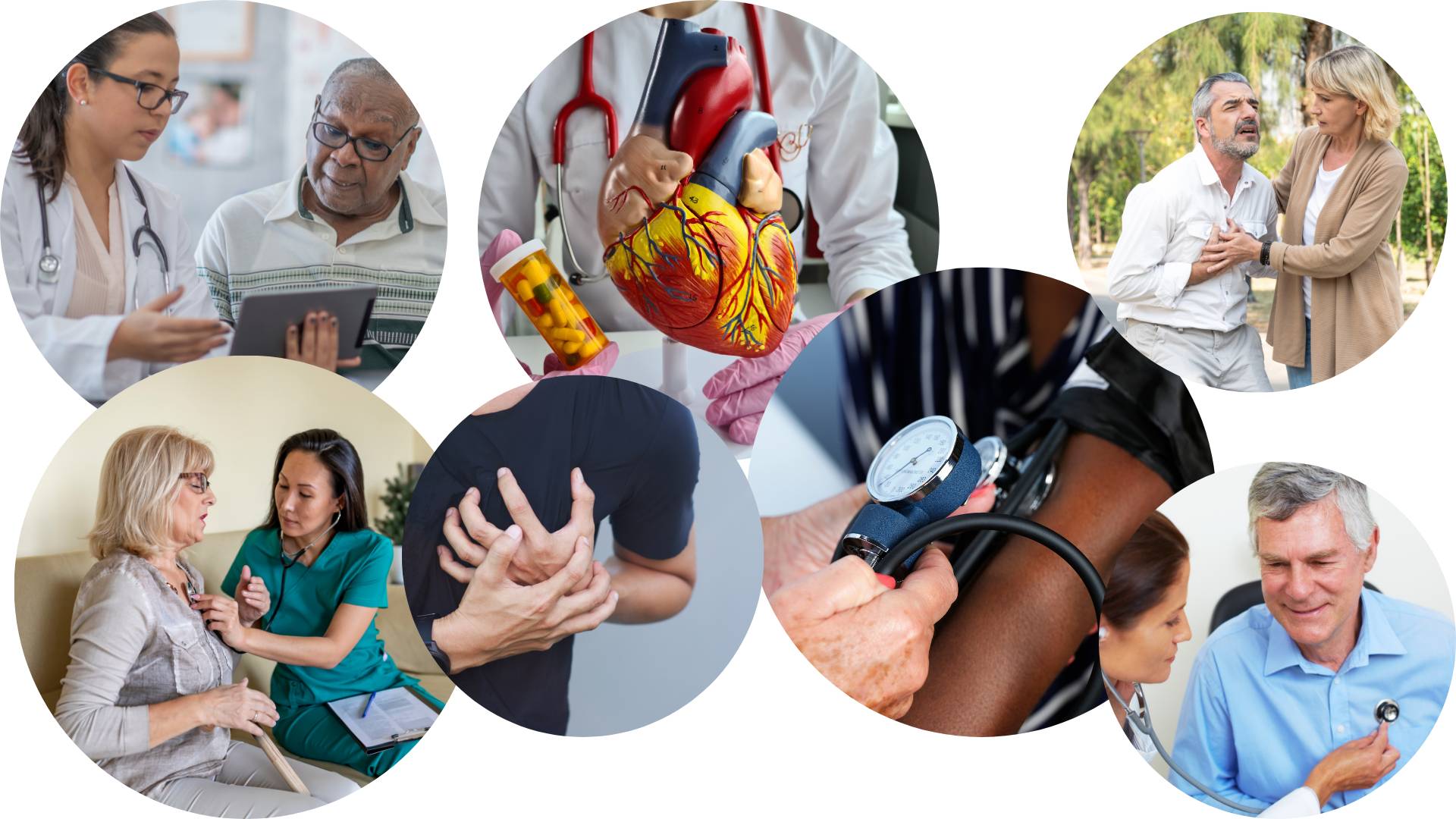 Course: Adult Cardiovascular Disease Prevention