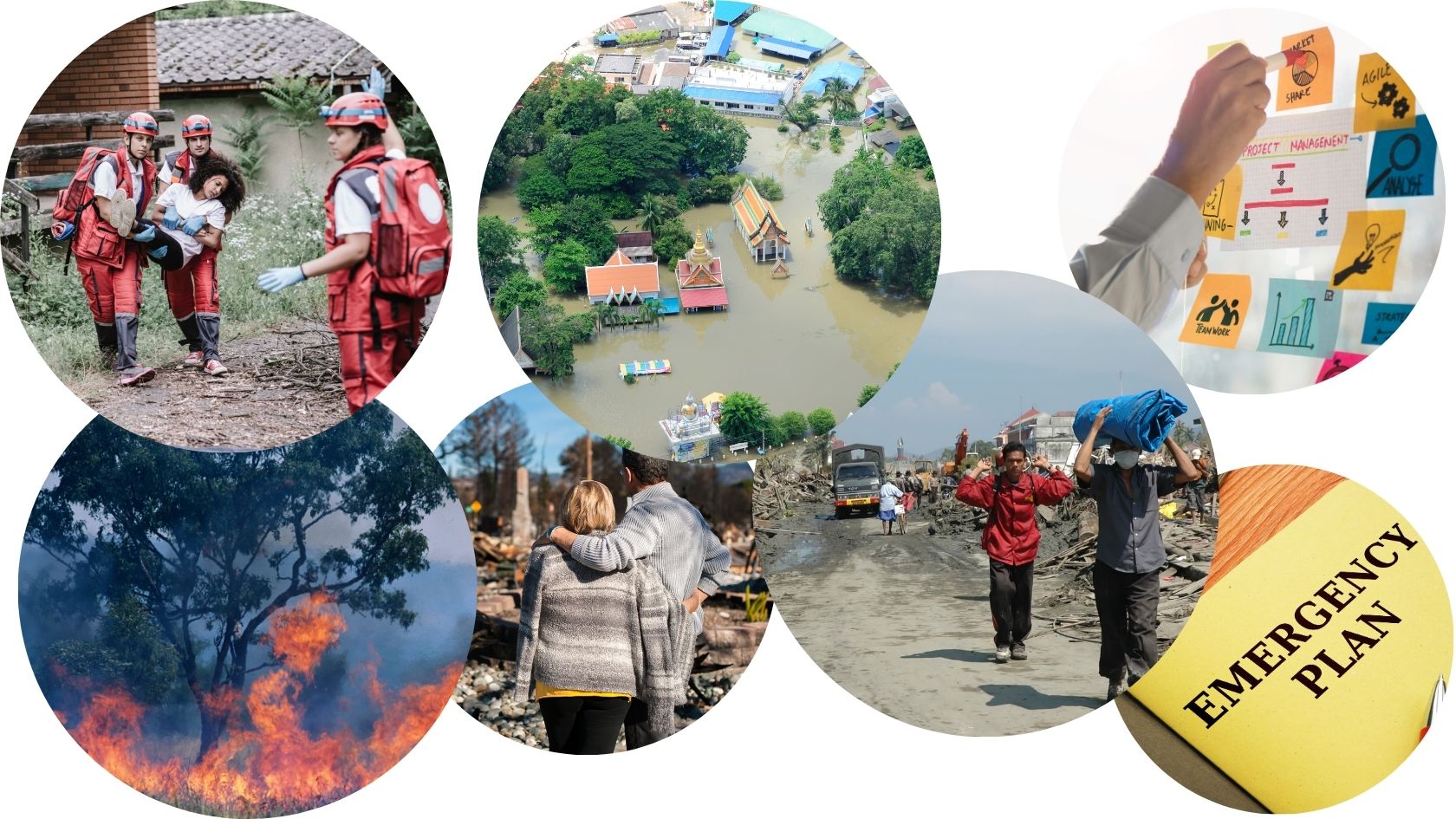 Course: Environmental Health